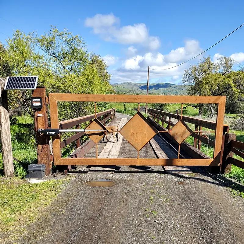 Collections - Pro-Ghost Controls