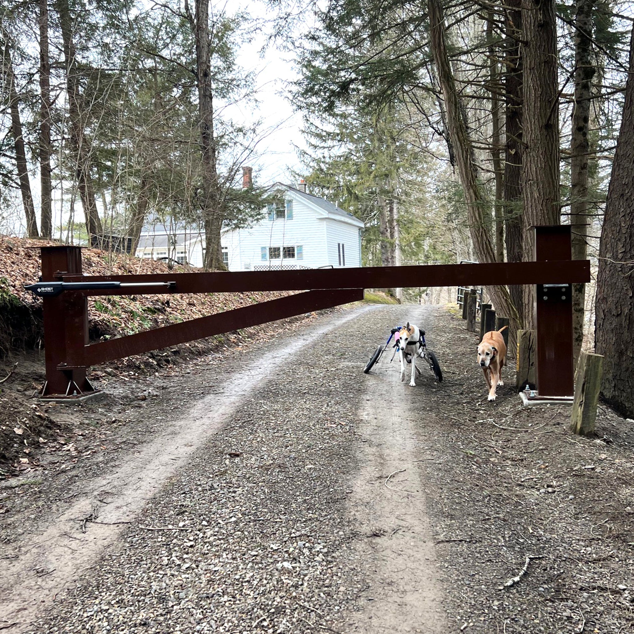 HDP1 Ghost Manor Series Single Column Mount/Heavy Gates 16' -20 ...